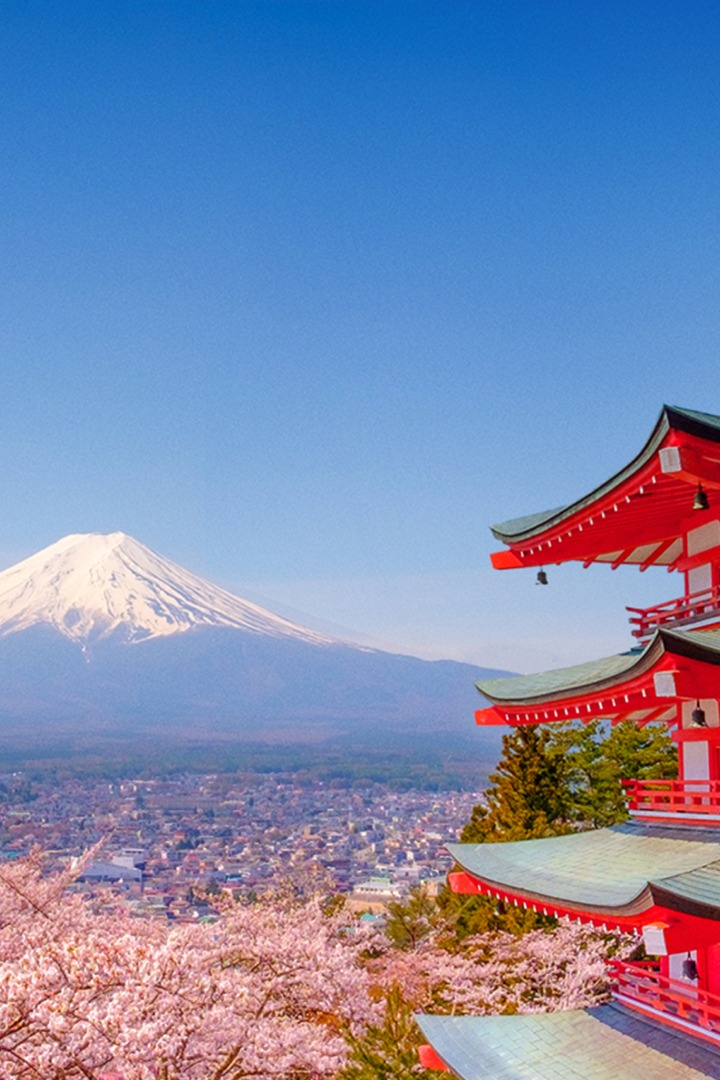 The Tale of Kitto Katto | Tastemade