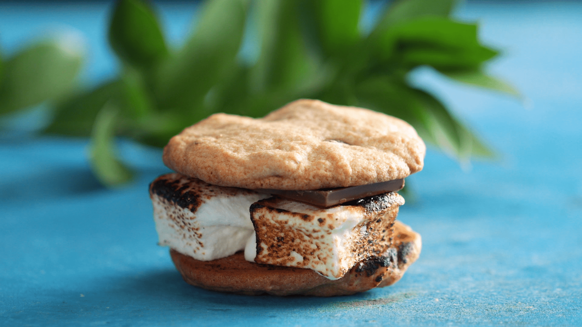 Rocky Road Chocolate Chip S'mores Sandwiches | Tastemade
