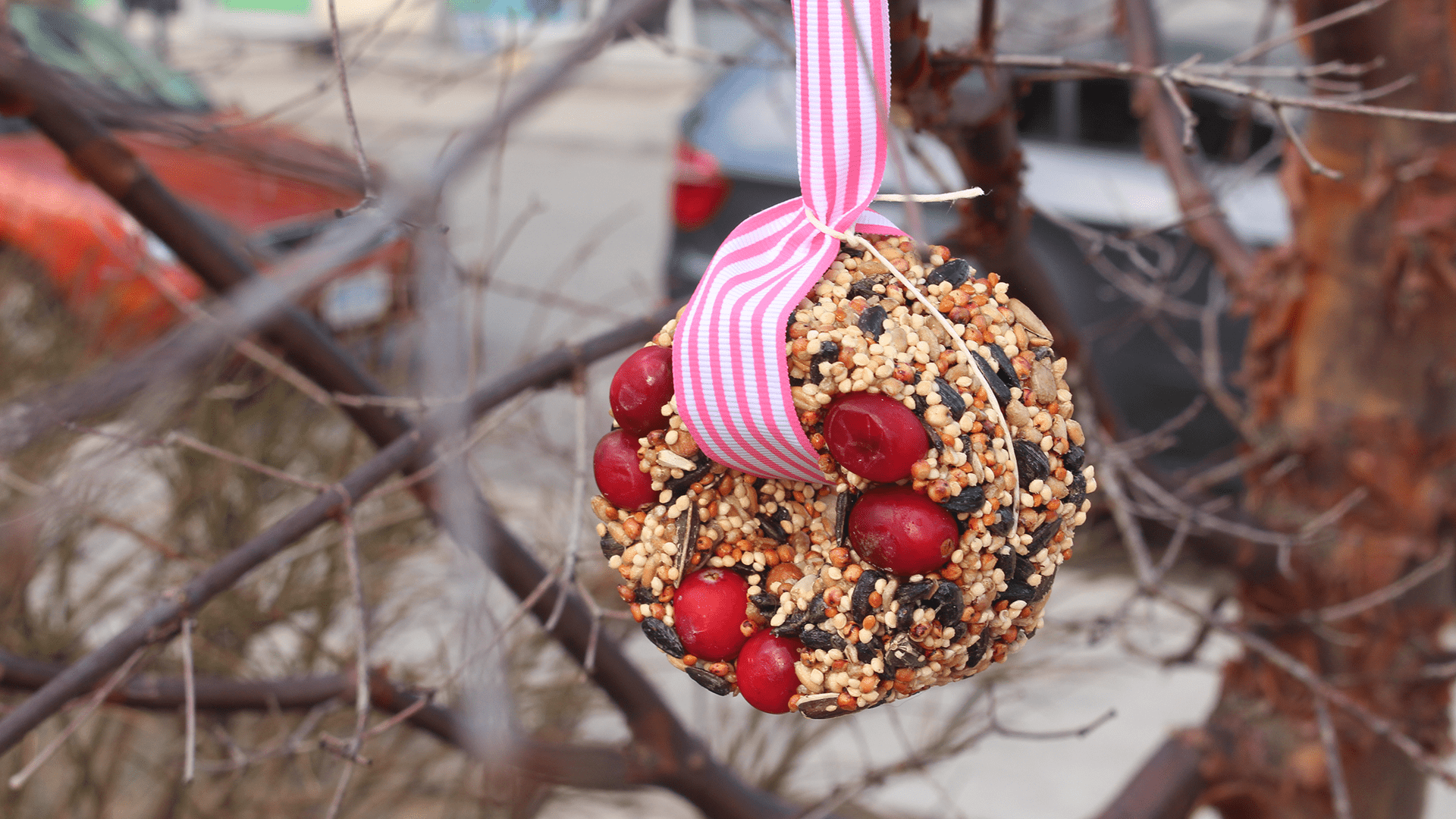 Mini Bundt Pan Bird Feeders | Tastemade