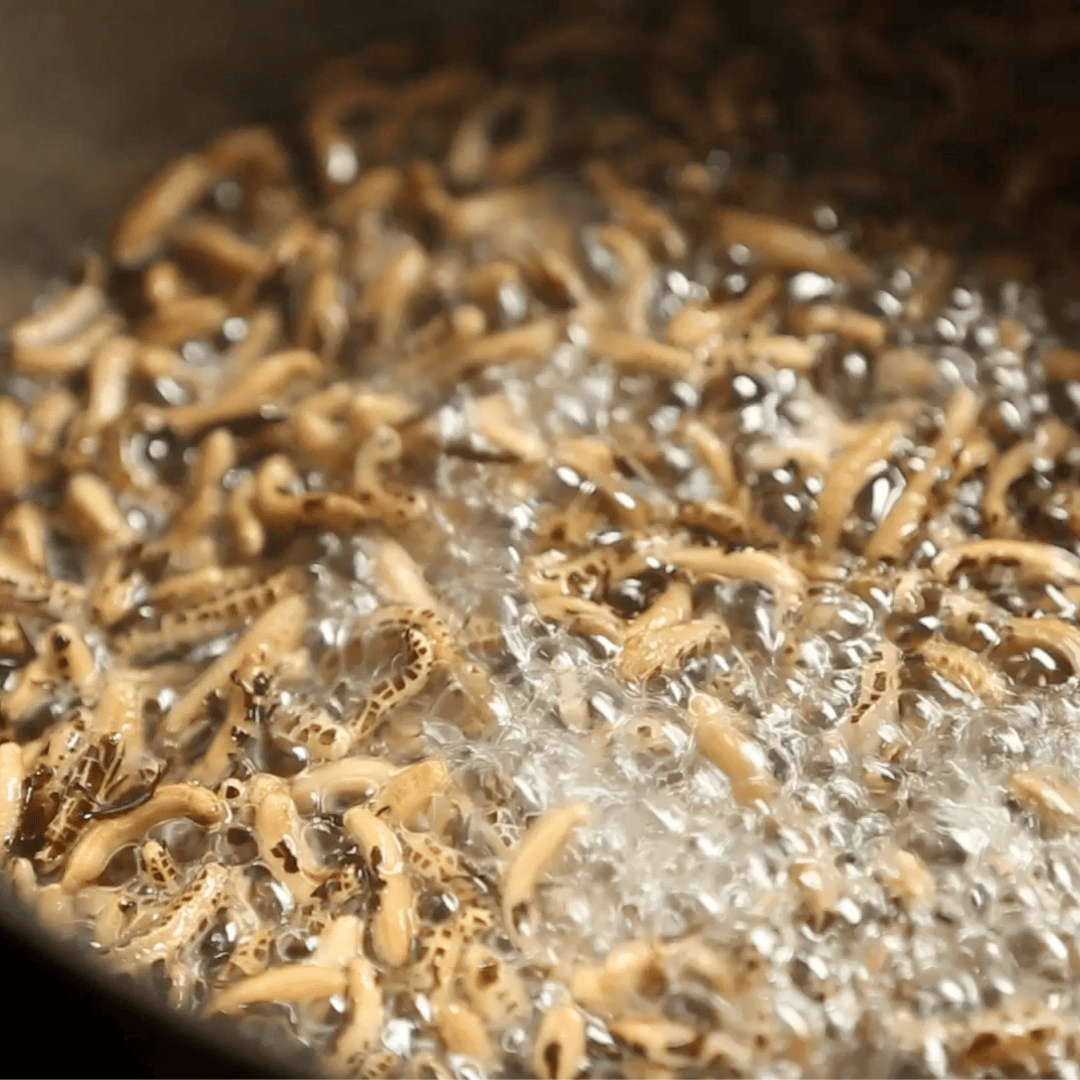 Puffed Wild Rice | Tastemade