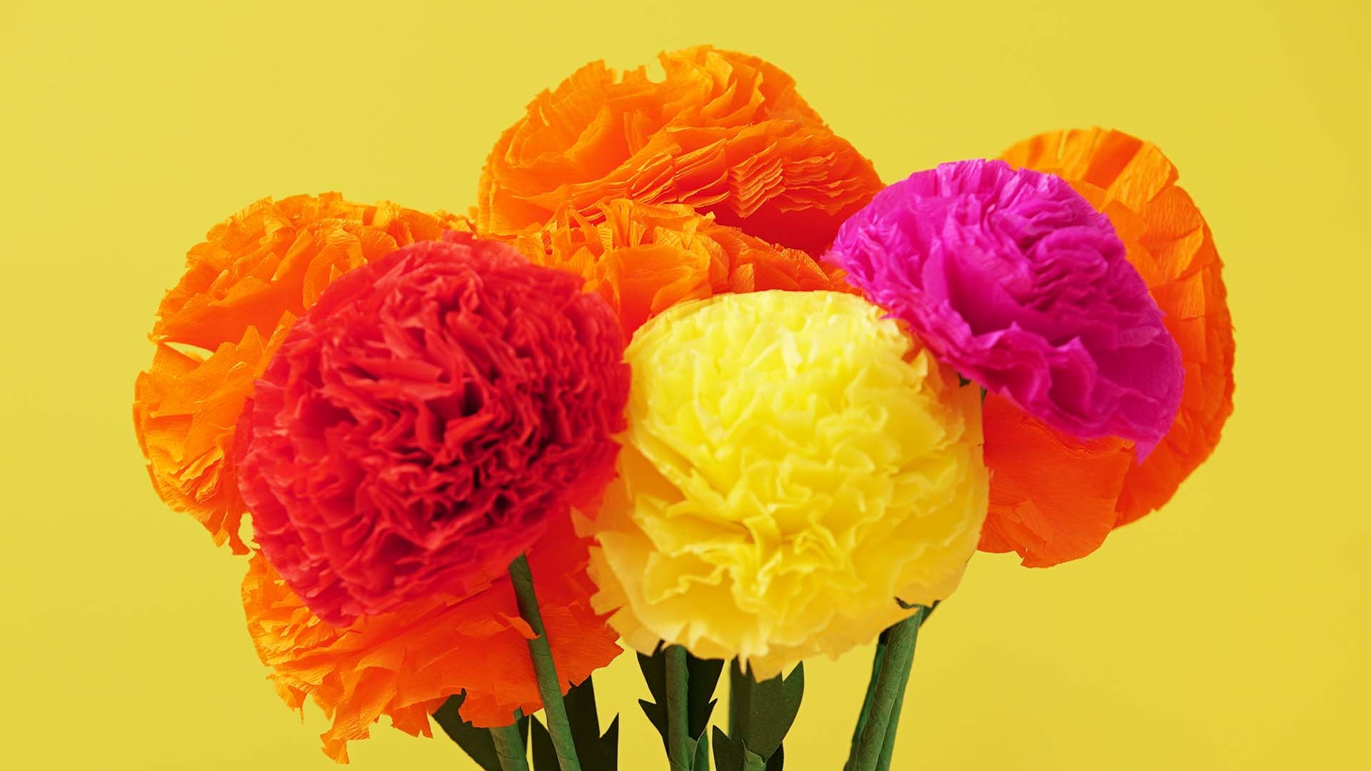 Cempasuchil Flowers | Tastemade