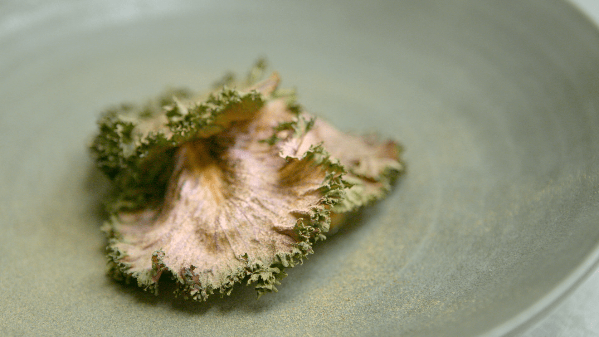 Abalone With Rice Porridge | Tastemade