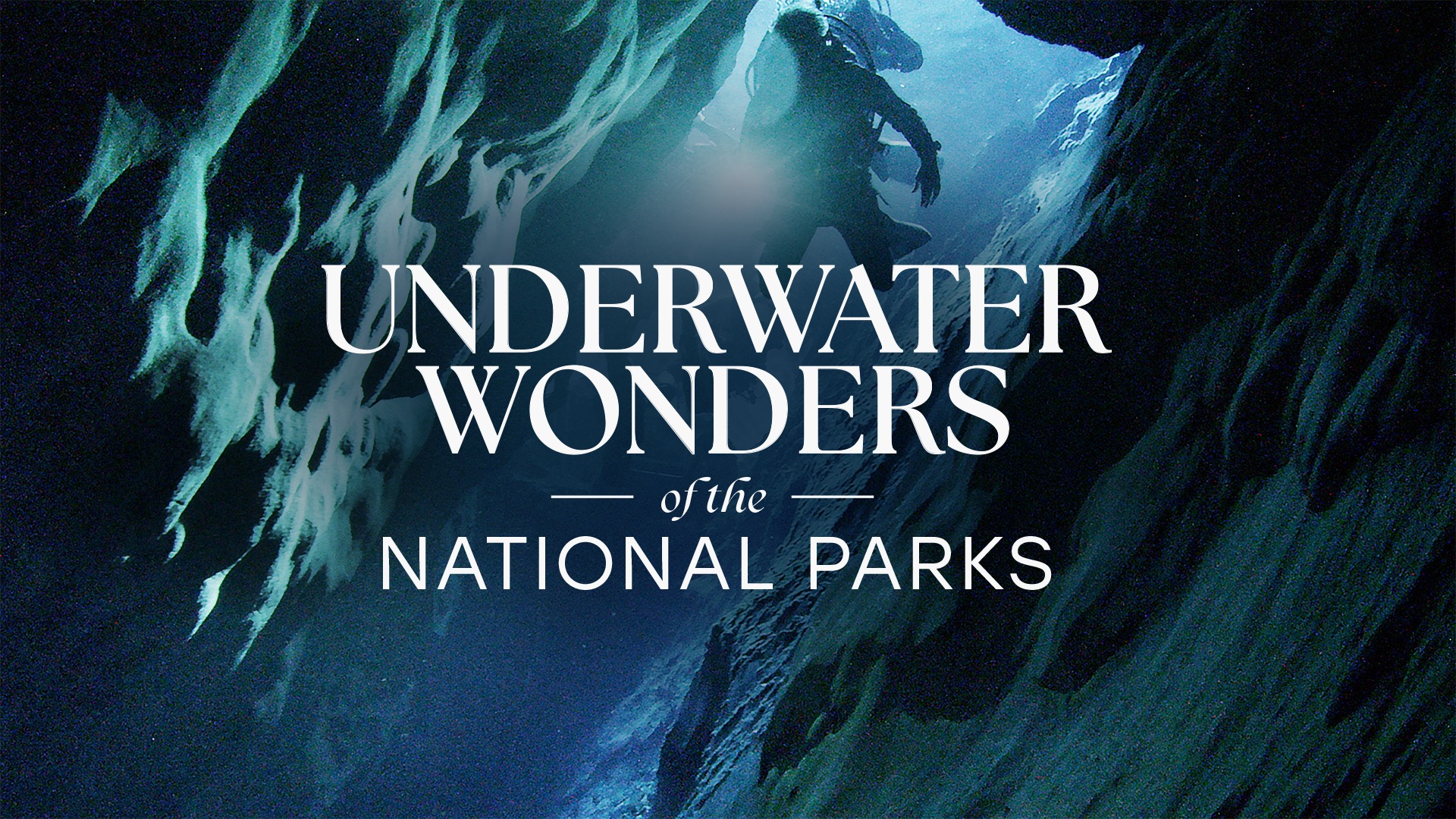 Underwater Wonders Of The National Parks | Tastemade