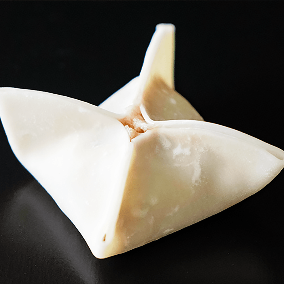 Four Corners Gyoza | Tastemade