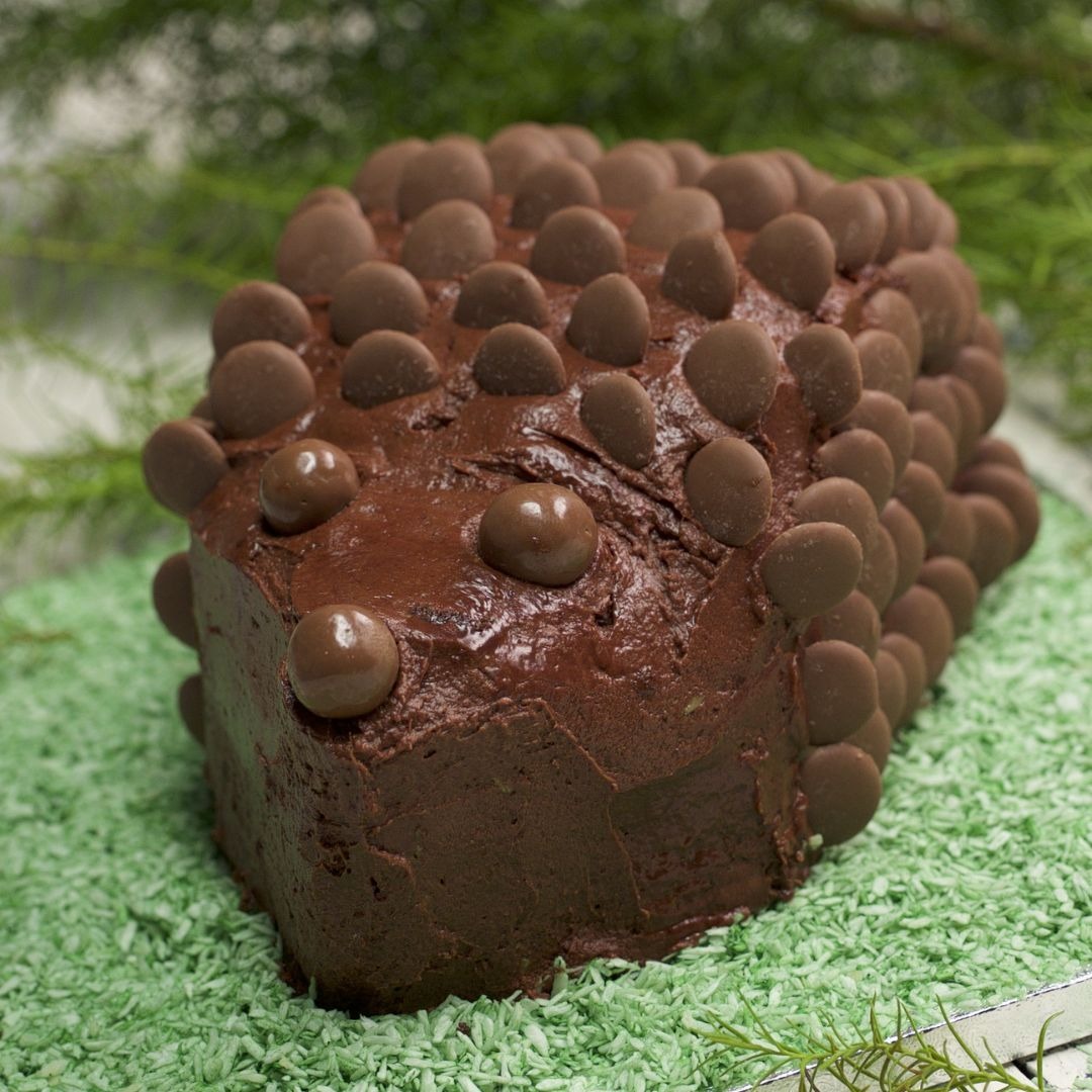 Hedgehog Cake | Tastemade